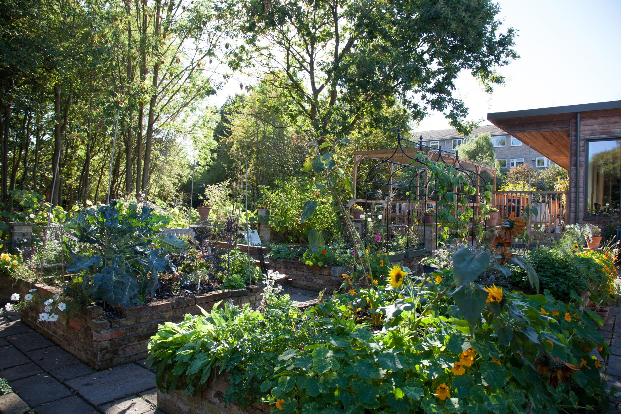 Lewisham Thriving Communities - Entelechy Arts